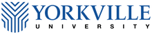 Yorkville University Merch Shop – YU Merch Shop
